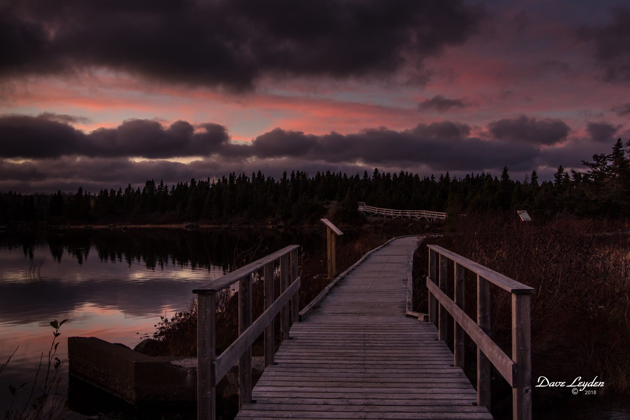 Request For Proposals - Lewisporte